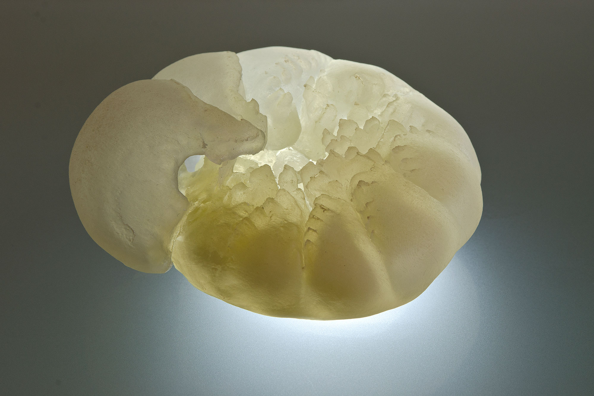 THINGS UNSEEN - Anne Bevan